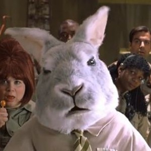 Tooth - Rotten Tomatoes