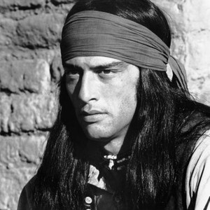 Jorge Luke - Rotten Tomatoes