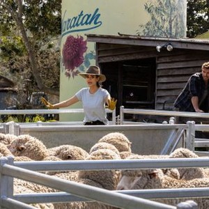 A Perfect Pairing - Rotten Tomatoes