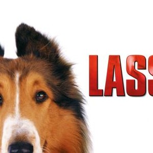 Lassie - Rotten Tomatoes
