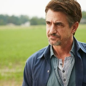 Lavender - Rotten Tomatoes