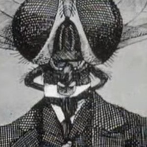 Poen - Rotten Tomatoes