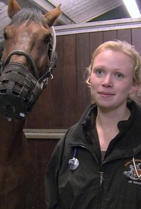 Young Vets: Season 1, Episode 8 | Rotten Tomatoes