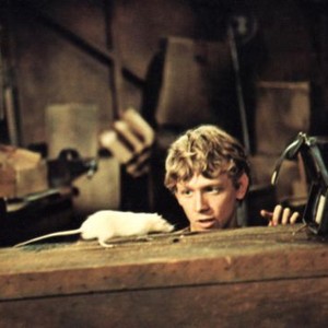 Bruce Davison - Rotten Tomatoes