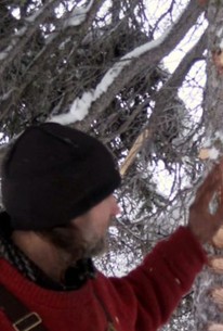 Alone: Season 7, Episode 12 - Rotten Tomatoes