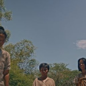 Roh - Rotten Tomatoes