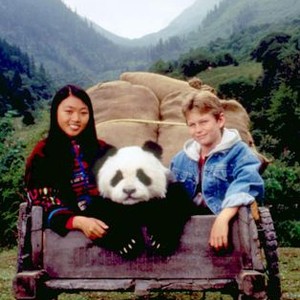 Yi Ding - Rotten Tomatoes