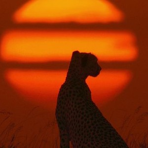 Our Universe: Season 1, Episode 1 - Rotten Tomatoes