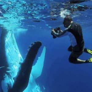 Tales by Light: Season 1, Episode 1 - Rotten Tomatoes