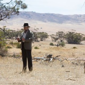 The Water Diviner - Rotten Tomatoes