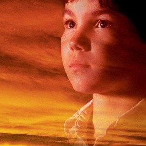 The Education of Little Tree - Rotten Tomatoes