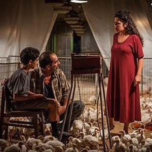 Baba Joon - Rotten Tomatoes