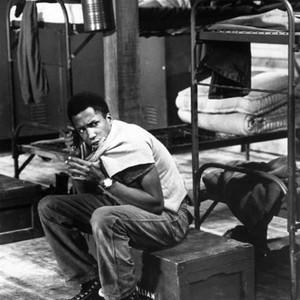 Michael Wright - Rotten Tomatoes