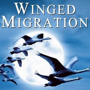 Winged Migration - Rotten Tomatoes