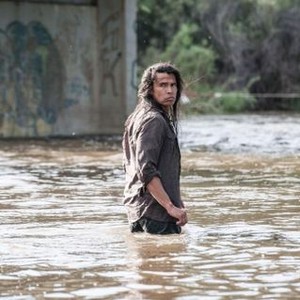 David Midthunder - Rotten Tomatoes