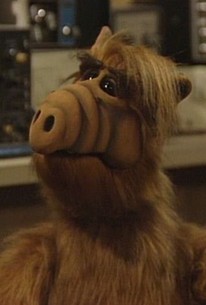 ALF: Season 2, Episode 1 | Rotten Tomatoes