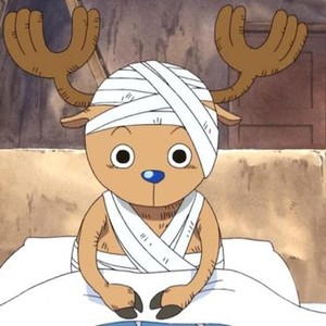 One Piece Chopper Hiding