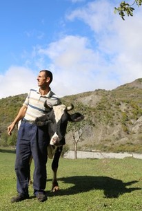 Holy Cow (2015) | Rotten Tomatoes