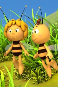Maya the Bee: Season 1, Episode 63 | Rotten Tomatoes