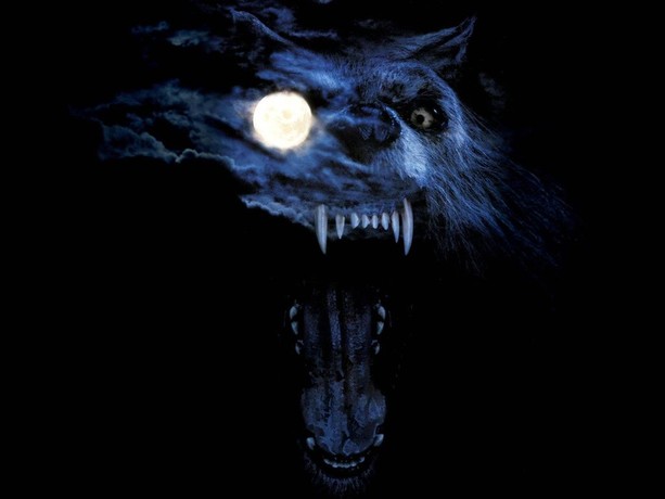 Bad Moon Werewolf Bad Moon Rising (451 Media) #5 VF/NM ; 451 Media
