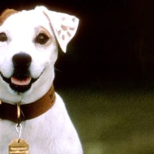 Wishbone: Season 2, Episode 10 - Rotten Tomatoes