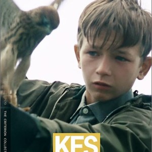 Kes - Rotten Tomatoes
