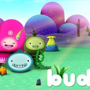 Buddi - Rotten Tomatoes