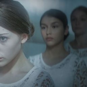 Level 16 - Rotten Tomatoes