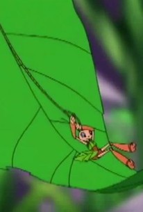 Bugtime Adventures: Season 1, Episode 6 | Rotten Tomatoes