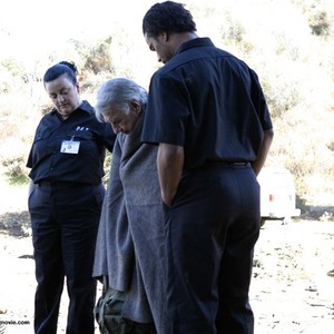 Duck - Rotten Tomatoes