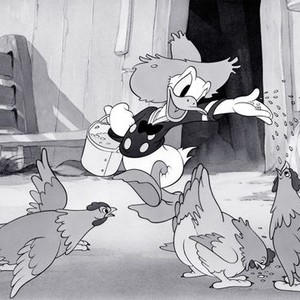 Old MacDonald Duck - Rotten Tomatoes