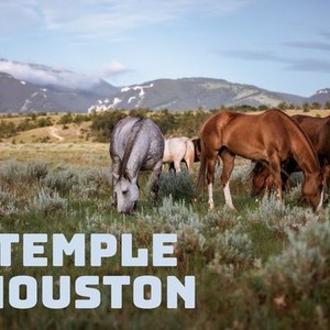 Temple Houston - Rotten Tomatoes