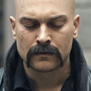 The Protector - Rotten Tomatoes