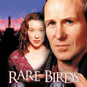 Rare Birds - Rotten Tomatoes
