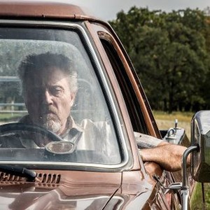 Percy Vs Goliath - Rotten Tomatoes