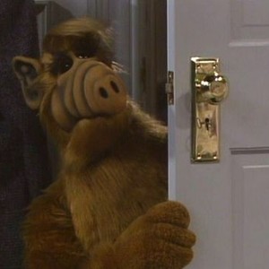 ALF: Season 2, Episode 22 - Rotten Tomatoes