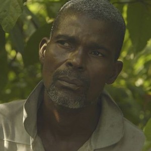 The Dark Side of Chocolate - Rotten Tomatoes