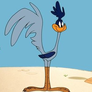 The Road Runner Show - Rotten Tomatoes