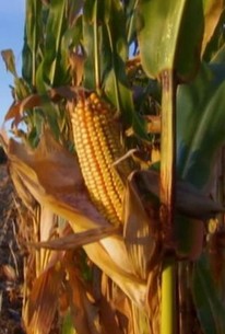 HowStuffWorks: Season 1, Episode 1 | Rotten Tomatoes