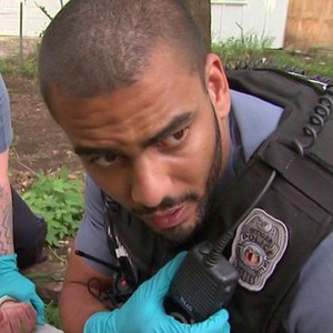 Cops: Season 31, Episode 32 - Rotten Tomatoes