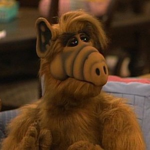 ALF: Season 2, Episode 7 - Rotten Tomatoes