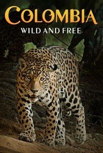 Colombia -- Wild and Free | Rotten Tomatoes