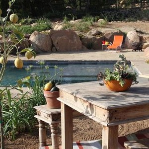 The Pool Master - Rotten Tomatoes