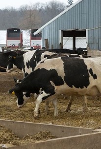 The Incredible Dr. Pol: Season 3, Episode 3 | Rotten Tomatoes