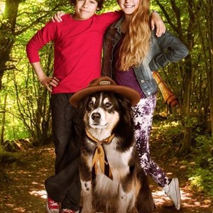 Bark Ranger - Rotten Tomatoes