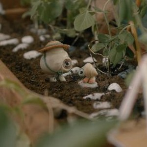 Marcel the Shell with Shoes On - Rotten Tomatoes