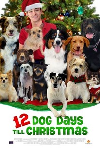 12 Dog Days Till Christmas | Rotten Tomatoes