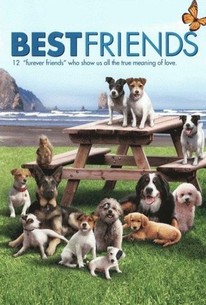 Best Friends (2014) | Rotten Tomatoes
