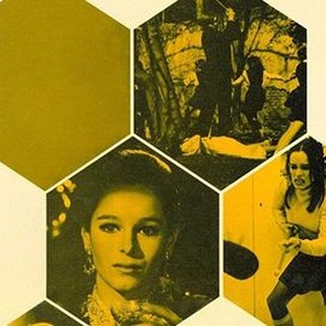 Honeycomb - Rotten Tomatoes
