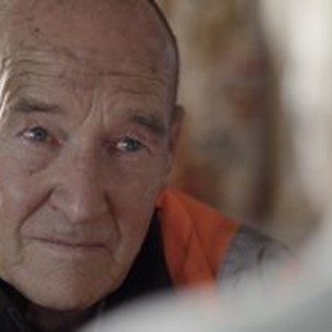 Bull - Rotten Tomatoes